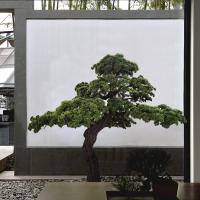 China Large Outdoor Artificial Bonsai Tree 1M 2M 3M Green Pine Plant For Garden Centerpiece Decor for sale