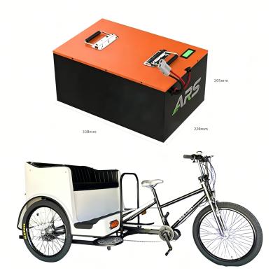 China Deep Cycle Rechargeable Lithium Ion Customized 48V Electric Bicycle Battery 100AH 130AH 150AH 200AH for sale