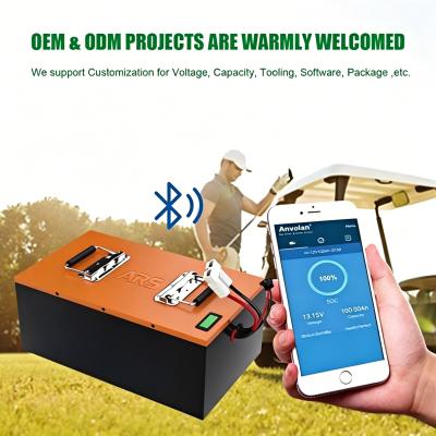 China Customized 48V Lithium Battery for Electric Bike 100Ah 150Ah 240Ah 200A High Quality for Minako E-bike for sale