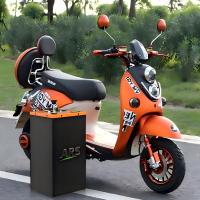 China 48V 30Ah 40Ah Portable Lithium Battery For Electric Bike Custom BMS for sale