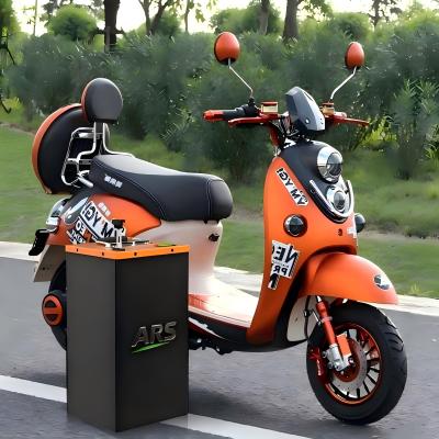 China 48V 30Ah 40Ah Portable Lithium Battery For Electric Bike Custom BMS for sale