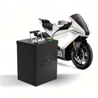 China Customizable 48V Ebike Battery 30Ah-210Ah Waterproof GPS Locator for sale