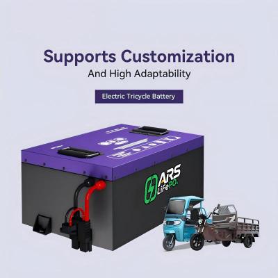 China Electric Bike Batteries 48V 30Ah 40Ah Lightweight Portable Design for sale