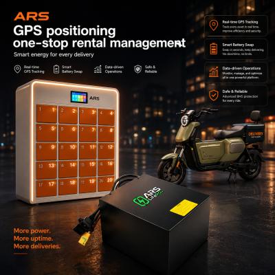 China 48V 60V 72V LiFePO4 Battery for Wenbox 350 E-bike Scooter Motorcycle OEM &ODM Lithium Battery Pack for sale