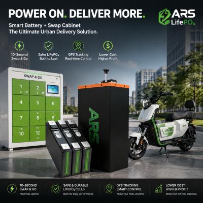 China Strong QS350 60V 80Ah Lithium Battery | OEM Russia Supply for sale