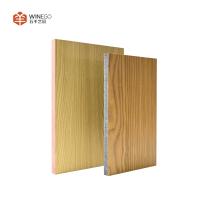 China Micro-perforated Acoustic Panel Advanced Soundproofing With Customizable Finishes for sale