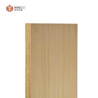 China Micro-perforated Acoustic Panel Advanced Soundproofing With Customizable Finishes for sale