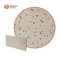 China 0.8 NRC Artistic Acoustic Panels Eco Friendly Timber For Modern Home Decor for sale