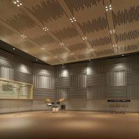 China Customizable Art Acoustic Panels with High NRC for Noise Reduction and Style for sale
