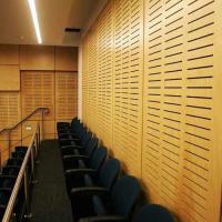 China Customizable Art Acoustic Panels with High NRC for Noise Reduction and Style for sale