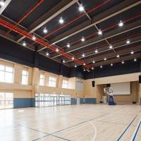 China Sound Absorbing Suspended Wood Panel Ceiling , Perforated Wood Acoustic Panels 12mm for sale