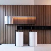 China Hot Seal Wood Slat Acoustic Panel  Aesthetics And Acoustic For Interior Wall for sale