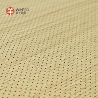 China Innovative Acoustic Panel System with Micro Perforation Design for Advanced Sound Control for sale