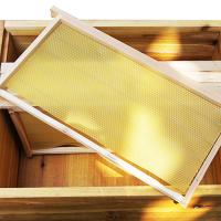 China Cedar Wood Bee Hive Foundation Frames For Apiary Honey Farming OEM for sale