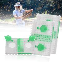 China Beekeeping tools for Chinese and Italian bees with plastic pin buckle queen cage for sale