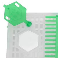 China Beekeeping tools for Chinese and Italian bees with plastic pin buckle queen cage for sale