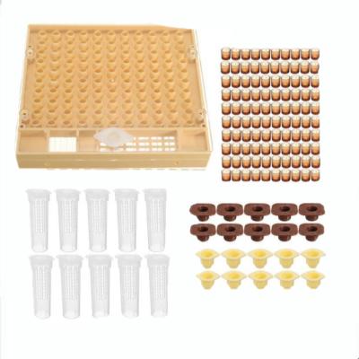 China Beekeeping Equipment, King Box Set, Queen Raising Table, Queen Cultivation Box, Queen Cage Bee for sale