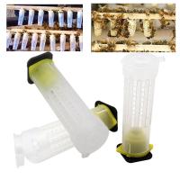 China Beekeeping Equipment, King Box Set, Queen Raising Table, Queen Cultivation Box, Queen Cage Bee for sale