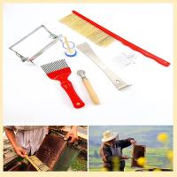 China Beekeeping tools/utensils Beekeeping 7-piece set of scraper bee-sweeping needle knife lift spleen clip king cage embeddi for sale