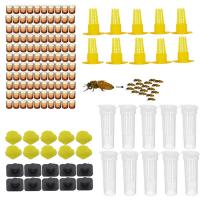 China Beekeeping tools breeding box king table transfer needle queen bee breeding box queen bee protective cover for sale