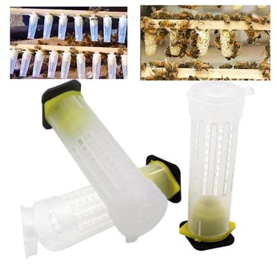 China Agriculture Queen Bee Rearing Kit , Queen Breeding Box For Apiary for sale