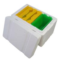 China Upgraded 3-frame plastic feeder foam mini bee mating box beekeeping beehive for sale