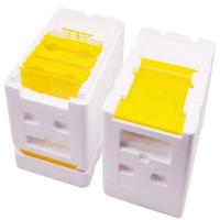 China Beehive, foam feeder, 3-box mini bee breeding box, own balcony can be raised beekeeping tools for sale