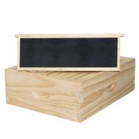 China Beekeeping tools special pine fir beehive following box ring Lang style 10 frame beehive accessories for sale