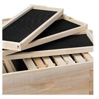 China Beekeeping tools pine fir 10 frame standard beehive bee honeycomb beehive frame nest foundation for sale