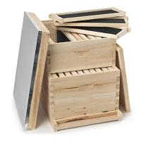 China Beekeeping tools pine fir 10 frame standard beehive bee honeycomb beehive frame nest foundation for sale