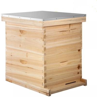 China Beekeeping tools pine fir 10 frame standard beehive bee honeycomb beehive frame nest foundation for sale