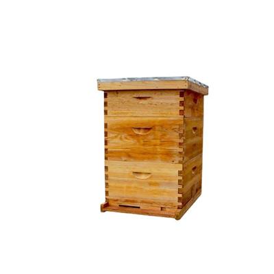 China Boiled wax beehive fir Italian bee bee standard ten frame beehive bee honeycomb for sale