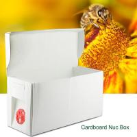 China Plastic Folding Beehives Bee Breeding King Bee Mating Pollination Box Beekeeping Tools for sale