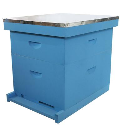 China Fully lacquered pine fir 3-layer Italian bee-in-bee standard beehive beekeeping tools for sale
