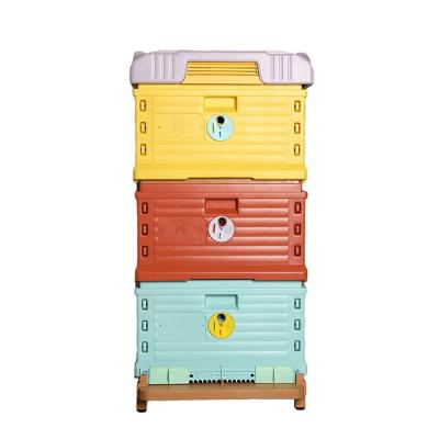 China 3 Layer Plastic Beehive Accessories Boxes Colorful Foam Sandwich Insulation for sale