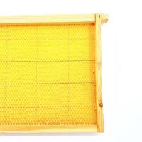 China Bee natural processing honeycomb beeswax heightened nest foundation with wooden frame beehive tool for sale