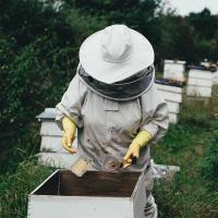 China Anti Bee Beekeeping Outfits Thickened Siamese Full Set For Protection for sale