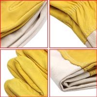 China Apiary Hard Cloth Bee Keeper Gloves For Anti Bee Sting Protection for sale