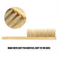 China Plastic Handle Honey Bee Brush Soft Bristles For Bee Hive Sweeping for sale