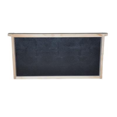 China Black Plastic Bee Frame Foundation For Honey Bee Farming OEM for sale