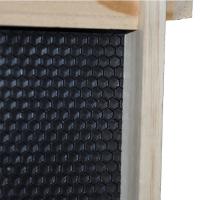 China Black Plastic Bee Frame Foundation For Honey Bee Farming OEM for sale