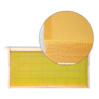 China Traditional Beekeeping Honey Bee Frames With Foundation 48.3cm×44.8cm×23.2cm for sale