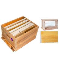 China Wooden Plastic Beehive Frames Beeswax Nest Foundation For Queen Bee Larvae for sale