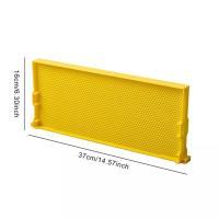 China 370×160mm Plastic Bee Hive Foundation Frames With Beeswax Honeycomb for sale