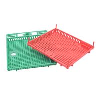 China Plastic Queen Bee Introduction Cage Colorful For Beehive Beekeeping for sale