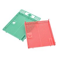 China Plastic Queen Bee Introduction Cage Colorful For Beehive Beekeeping for sale