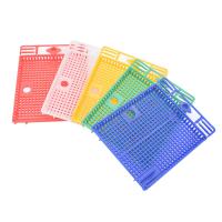 China Plastic Queen Bee Introduction Cage Colorful For Beehive Beekeeping for sale