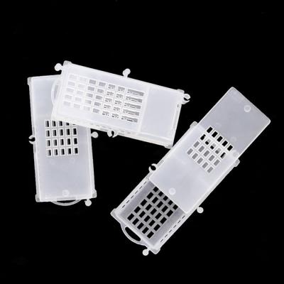 China Plastic Apiary Equipments Cage Mailing Type For Queen Bee Harmless for sale