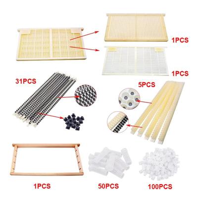 China Insect Free Apiary Equipments , Implant Free Queen Bee Rearing Kit for sale