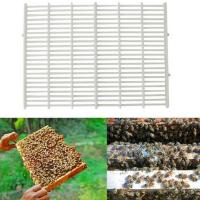 China Plastic Apiary Equipments Partition Grid Beehive Queen Excluder for sale